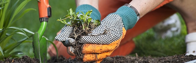 Hand & Wrist Procedures Tulsa | Hand surgery | The Orthopaedic Center